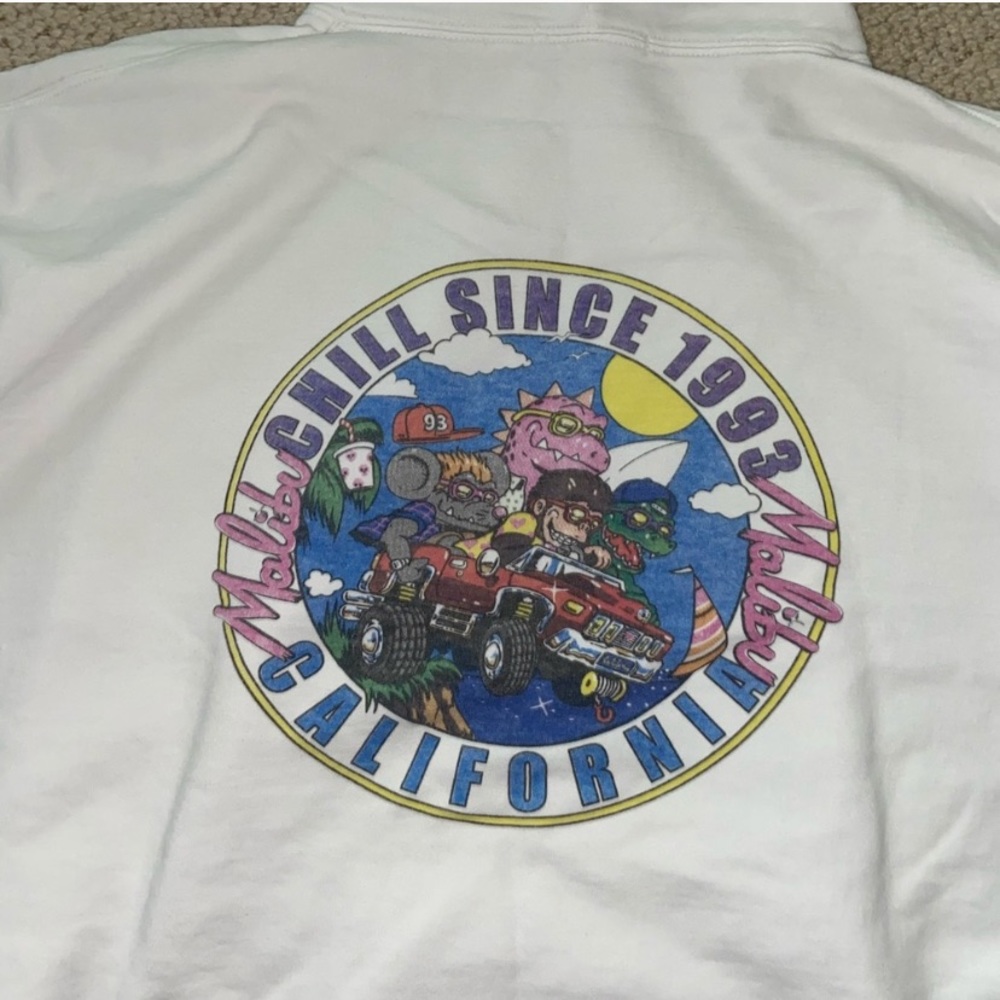 Brandy Melville Chill Since 1993 Sweatshirt - Gem